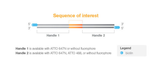 DNA tethering kit - LUMICKS Store